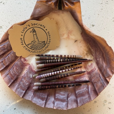 Oak Shabby Chic Beach Themed Memory Box, Vows Box, Wedding Card Box - Etsy