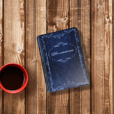 Kawaii Capybara Art Kindle Paperwhite 4 Cute Animal Case Kindle Custom ...