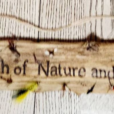 Hydropsyche Caddis Larva Trout Flies Colorado Fly Fishing Flies Caddis ...