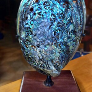 Carved Pearl Nautilus Shell Dragon Carving,real and Natural Nautilus ...