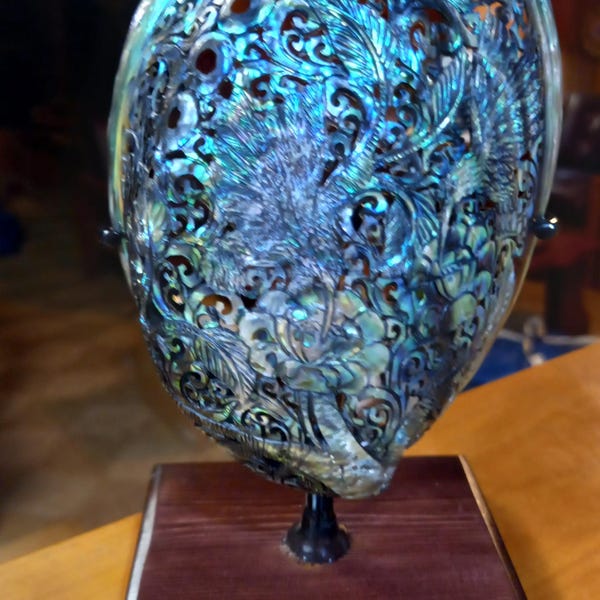 Carved Abalone Shell Hummingbird Theme Paua Abalone Real and Natural ...
