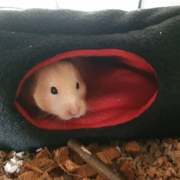 The Cosy Coffin Luxury Halloween Coffin in 3 Sizes, Hanging Cube ...