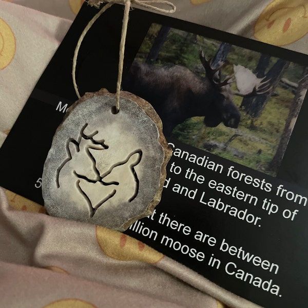 Moose Antler Keychain, Antler Gift, Shed Antler, Antler Keyring ...