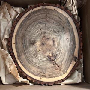 Log Slice Slab for Cake Stand Cutting Board Charcuterie - Etsy