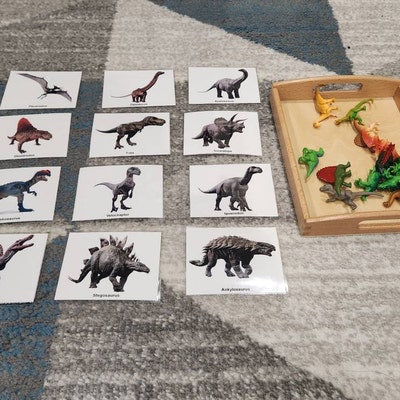 OCEAN ANIMALS 22 Montessori Cards Flash Cards Nomenclature Flashcards ...