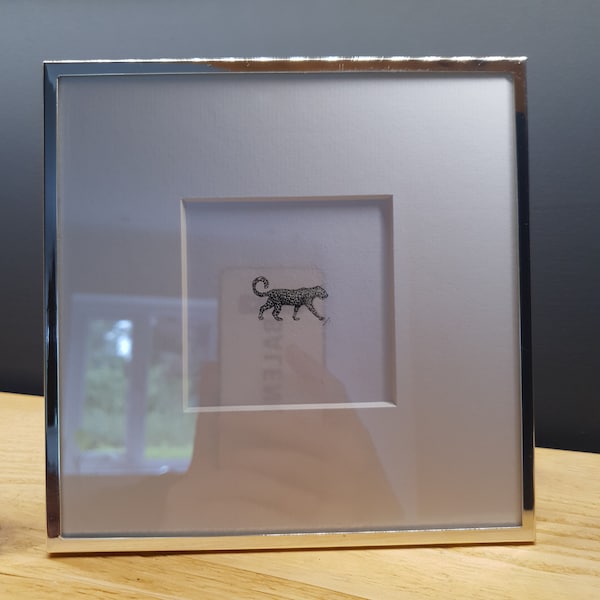 Miniature Tree Frog Pen Drawing - 6x6 (inch) Mounted Original - Etsy UK