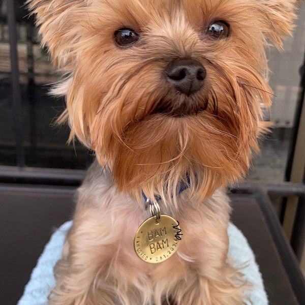 Custom Dog Tag / Custom Pet ID Tag - Lucy - in 1.25'' Domed Bronze ...