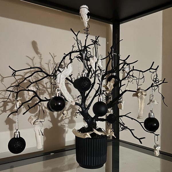 Snake Vertebrae, Python Vertebrae, Serpent Bone Art, Gothic Forest ...