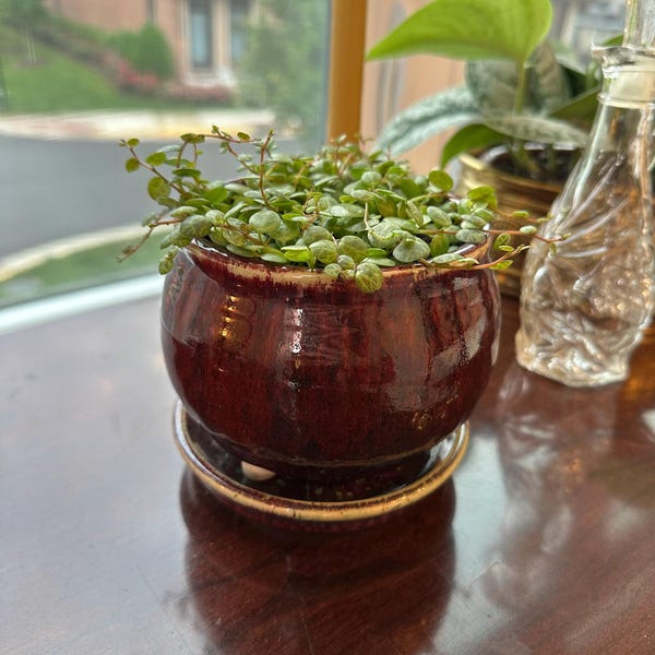 Handmade Tea Spoon Rest / Tea Bag Holder Gift Set With Spoon, Tea, and ...