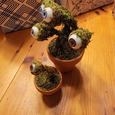 Eye Lichen Labyrinth Themed Gift - Etsy