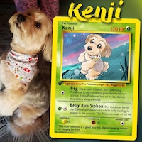 Your Pet as a Pokemon Card - Etsy