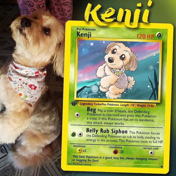 Your Pet as a Pokemon Card - Etsy