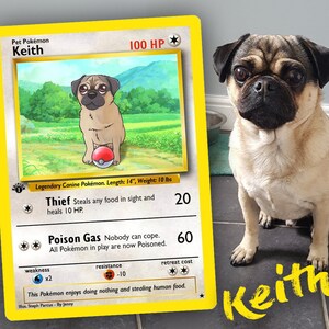 Your Pet as a Pokemon card | Etsy