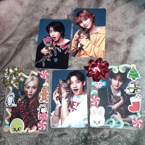 Stray Kids Buzzfeed Cat Interview Fanmade Photocards - Etsy