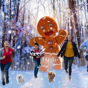 Gingerbread Man Chase Digital Backdrop/background, Can't Catch Me I'm ...