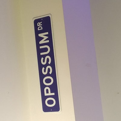 Opossum, Opossum Gift, Opossum Sign, Opossum Decor, Opossum Lover ...