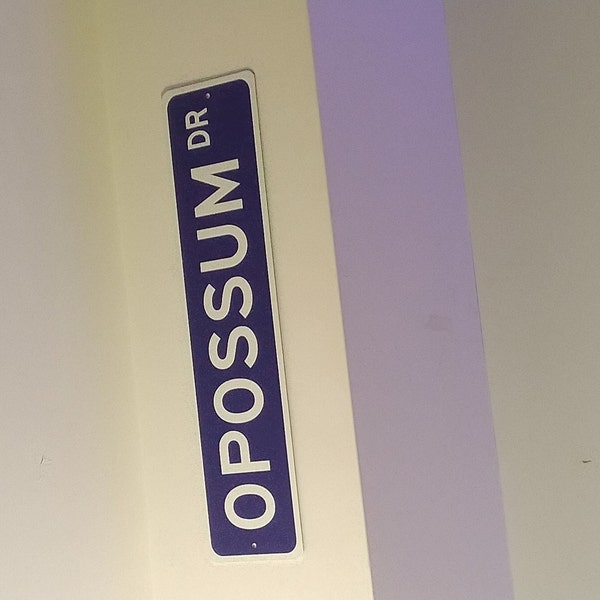 Opossum, Opossum Gift, Opossum Sign, Opossum Decor, Opossum Lover ...