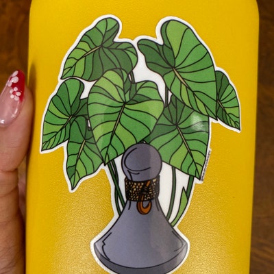 Pohaku Ku'i 'ai/ Colocasia Esculenta / Taro Root / Poi Pounder ...