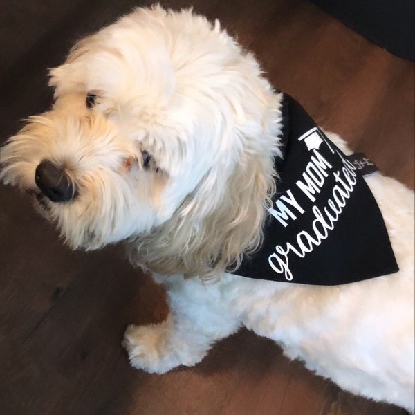 My Mom/dad Graduated Over the Collar Dog Bandana, Graduation ...