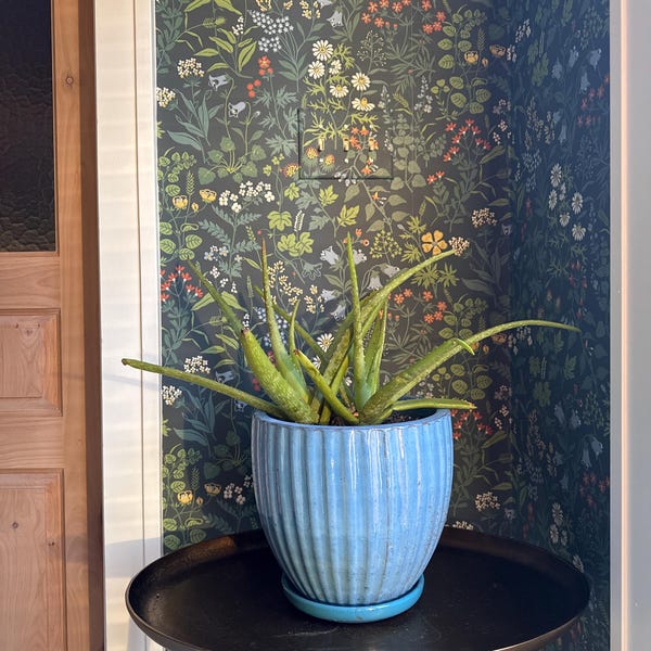 Contemporary Large Ceramic Planter - Indoor & Outdoor Pots | Speckled ...