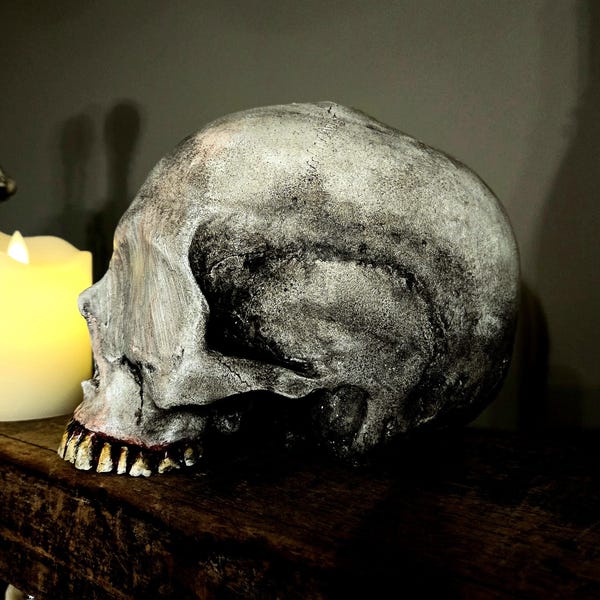 Human Skull Replica . Realistic Plaster of Paris Life Size Human Skull ...