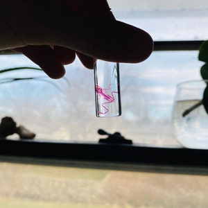 Tiny Diaphonized Frog Specimen - Etsy