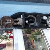 African Mask Snake Mask BOBO Tribe Ceremonial Mask Wall Hanging Masks ...