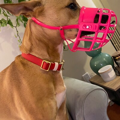 Full Grip Supply Basket Dog Muzzle.. Many Colors to Choose - Etsy