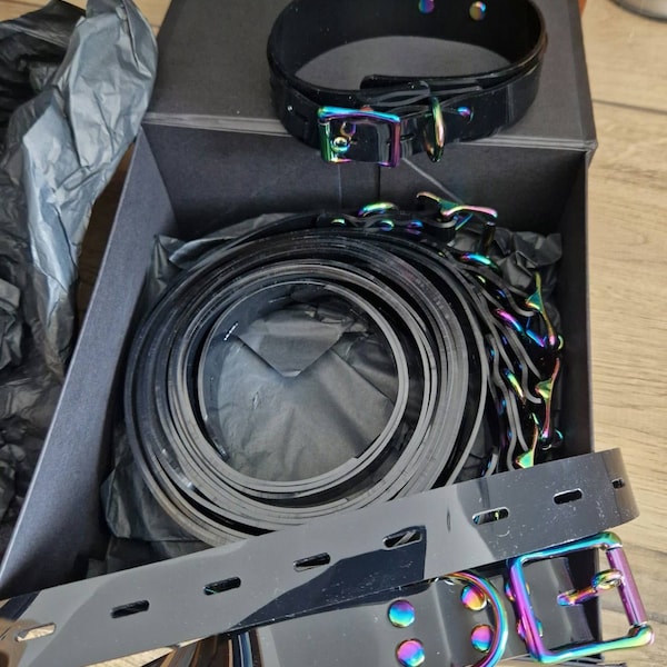 SEGUFIX Magnetic Locks System, Restraints Lock, Bondage Magnetic Lock ...