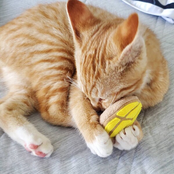 Concha Kids Costume, Concha Pan Costume, Concha Pandulce, Concha Pan ...