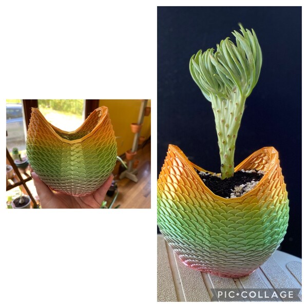 3D Printed Mermaid Tail Planter - Etsy