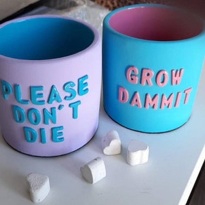 Christmas Glass Test Tube With Cork, Set of 4, White Tree, Organza ...