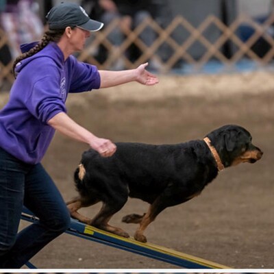 Purple Rhinestone Folding Cane Mobility Aid Sparkly Bling Multiple ...