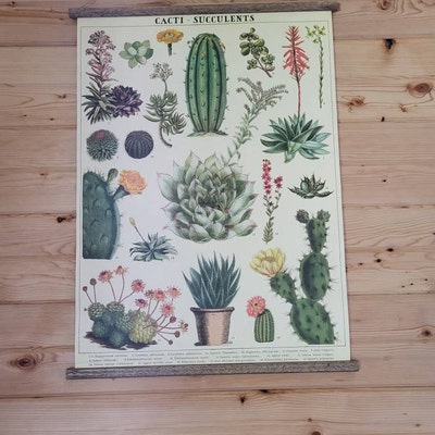 Wildflowers Specimens Poster Vintage Poster Botanical School Chart - Etsy