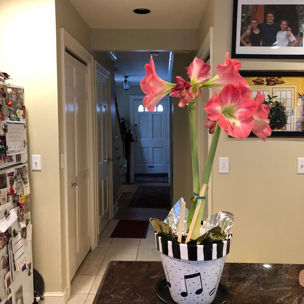 Music Note Flower Pot - Etsy