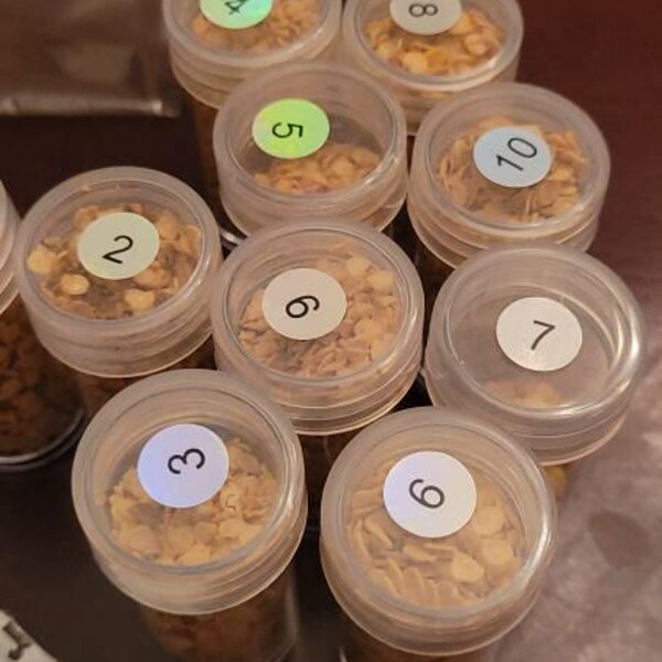 Red Shepherd Pepper Seeds - Etsy Canada