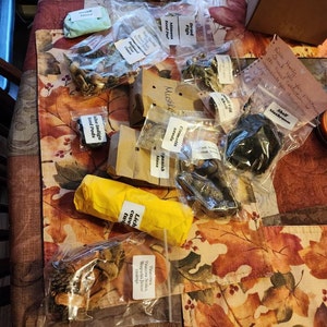 Lg Forest Findings Collection, Dried Botanicals, Forest Decor ...