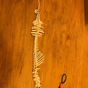 Chamfron 3 With Criss-cross DIGITAL PATTERN Pdf Dxf - Etsy