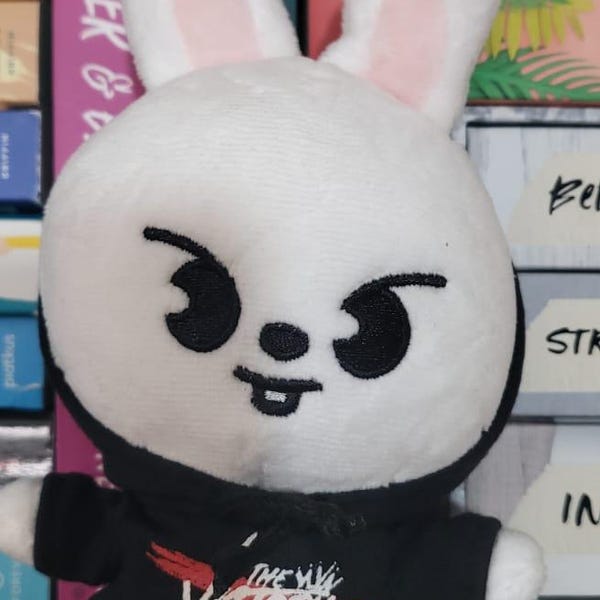 Skzoo Mini Plush Official - Etsy