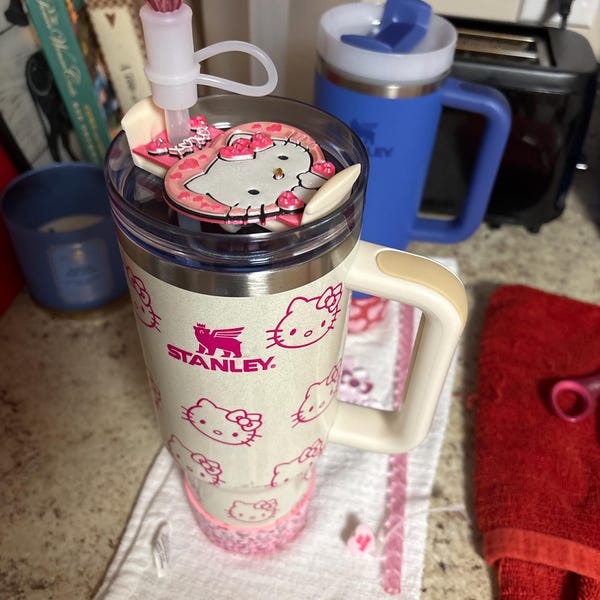 Up House Straw Topper - Etsy