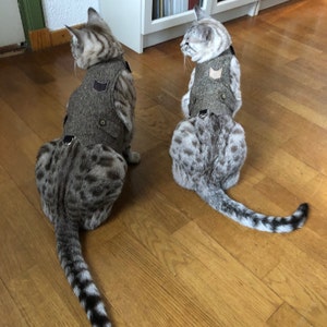 Classic Tweed Cat Walking Jacket dark Kazuki. | Etsy