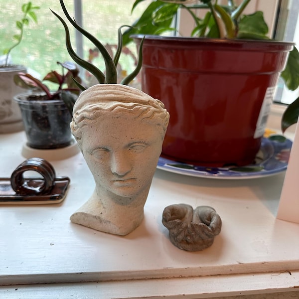 Diana Head & Neck Pot - Etsy