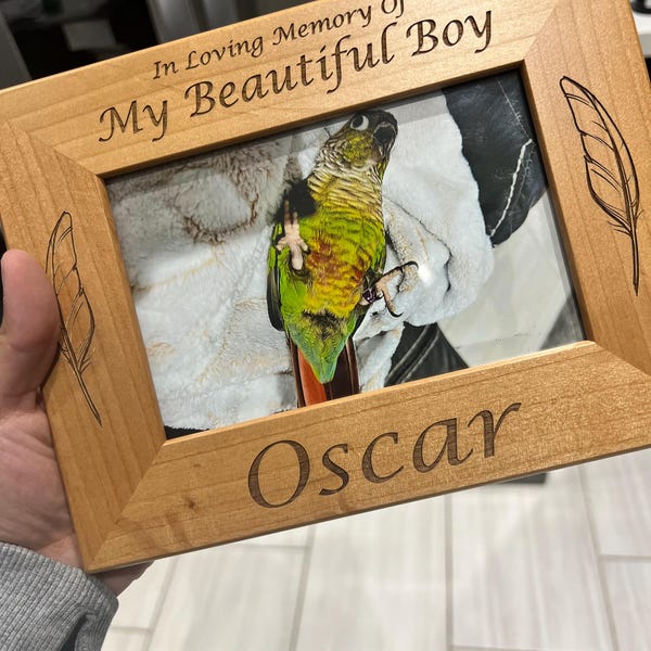 Cat Rescue, Pet Rescue, Frame Rescued, Frame Adoption, Cat Gift, Cat ...