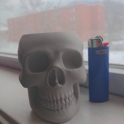 Senecio Radicans'string of Fish Hooks' Rare Succulent Plant - Etsy