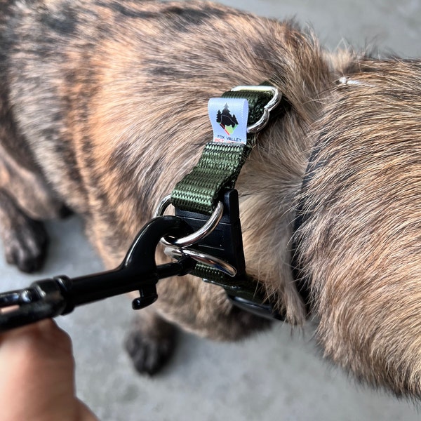 Solid Color BREAKAWAY Safety Dog Goat Pig Sheep Collar | Personalized ...