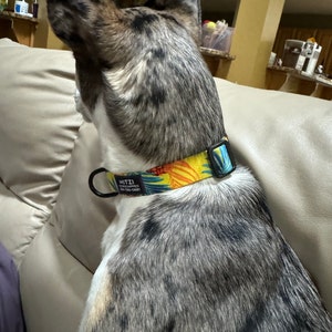 Treeline Dog Collar Trees Forest Nature Outdoors - Etsy