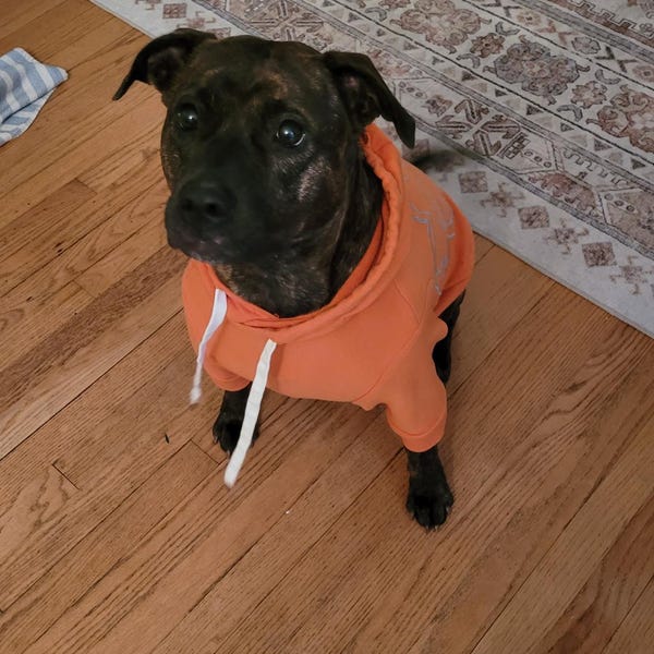 Straight Leg Pants Sewing Pattern Trousers Pattern Pants Pattern Women ...