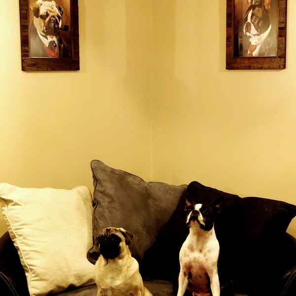 Pug Gift, Pug Art Print, PUG Art by Brian Rubenacker, Pug Decor, Pug ...