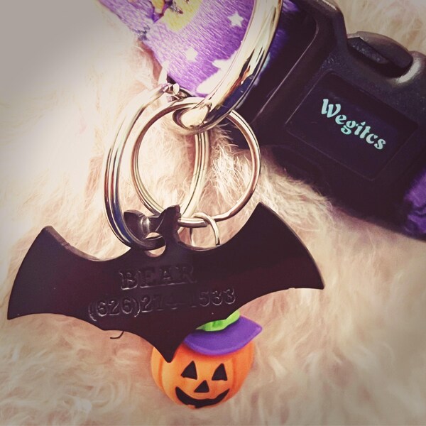 Witches Broom and Hat Dog ID Tag, Custom Spooky Tag for Dogs and ...
