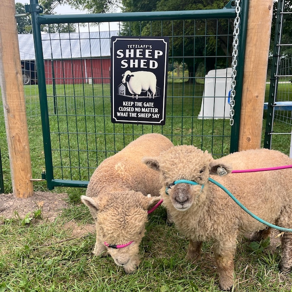 Vintage Sheep Shed Sign, Sheep Owner Gift, Sheep Barn Sign, Custom ...